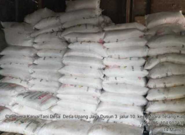 Ketersediaan Pupuk Urea Subsidi melimpah, petani Desa Upang jaya ...